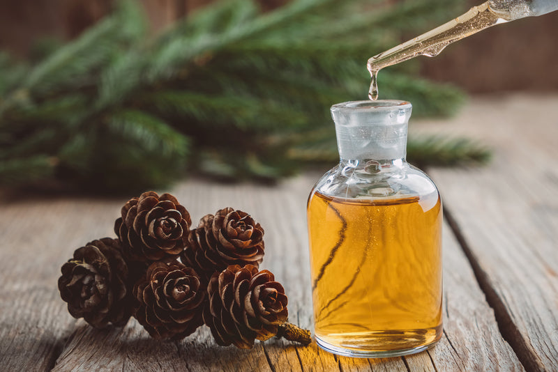 Benefits of Cedar Essential Oil - LUVV Labs